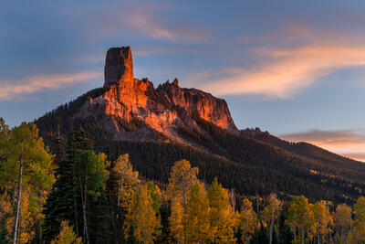 Colorado Fall Colors and Flowers | Nick Selway Photography