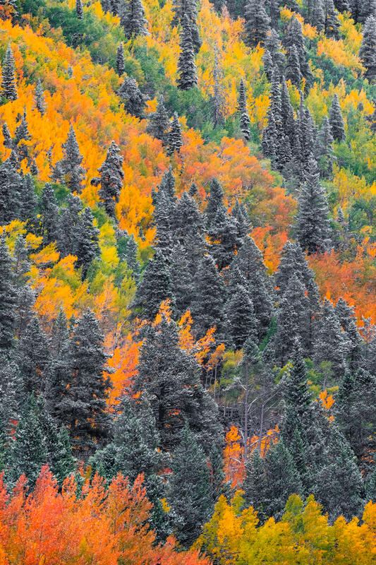 Colorado Landscape & Nature Photography for Sale