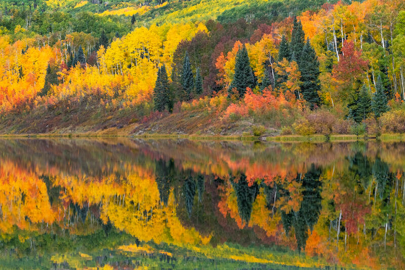 Colorado Landscape & Nature Photography for Sale