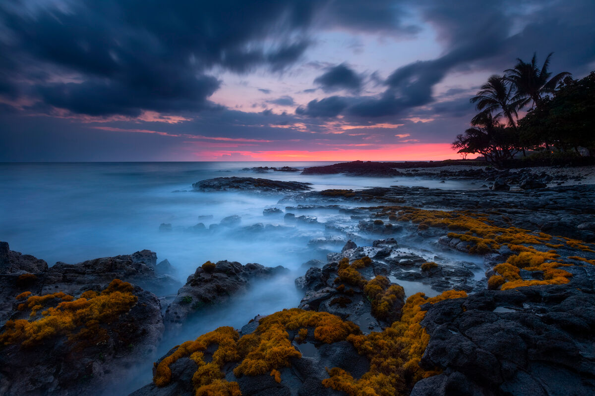 Alakala Mist | Kailua Kona,Big Island of Hawaii